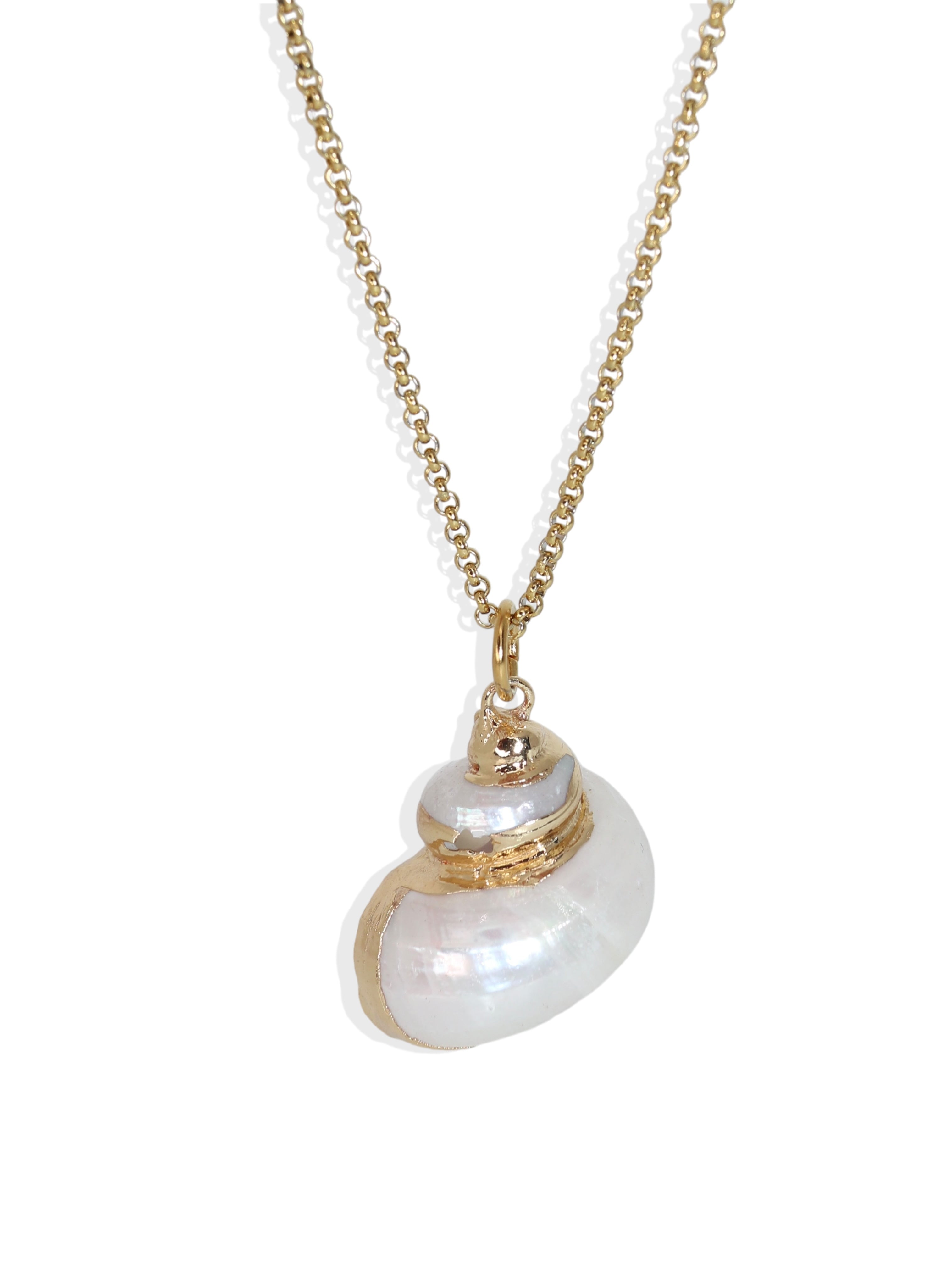 Laini Shell Necklace – Distorted Angels